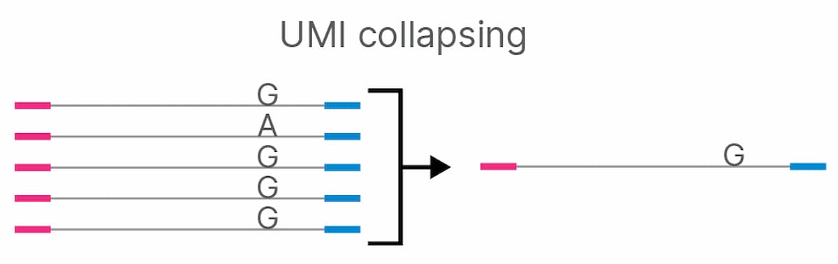 The Challenge of Somatic Variant Detection Accuracy in Liquid Biopsy ...