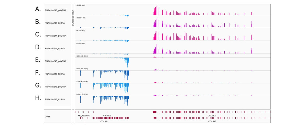 Building the ultimate RNA body map