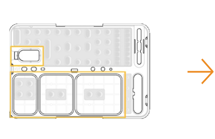 Transition to High-Throughput with the NovaSeq X Series
